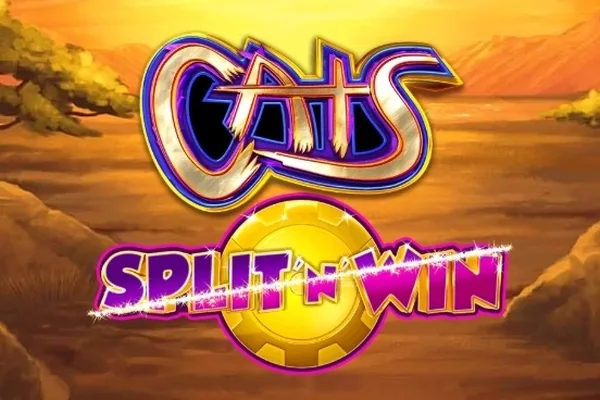 Cat-Themed Slots: Play Free Demos Instantly | Respinix
