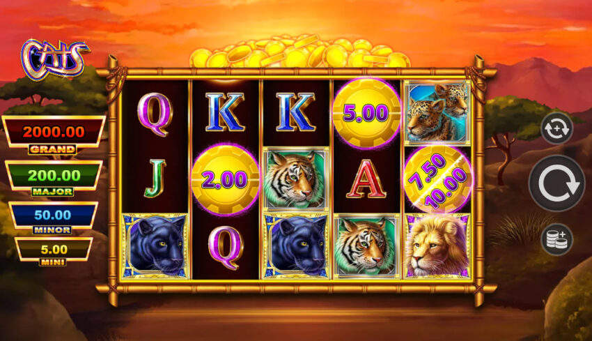 Cats Split 'N' Win (IGT) » Official Slot Demo & Review