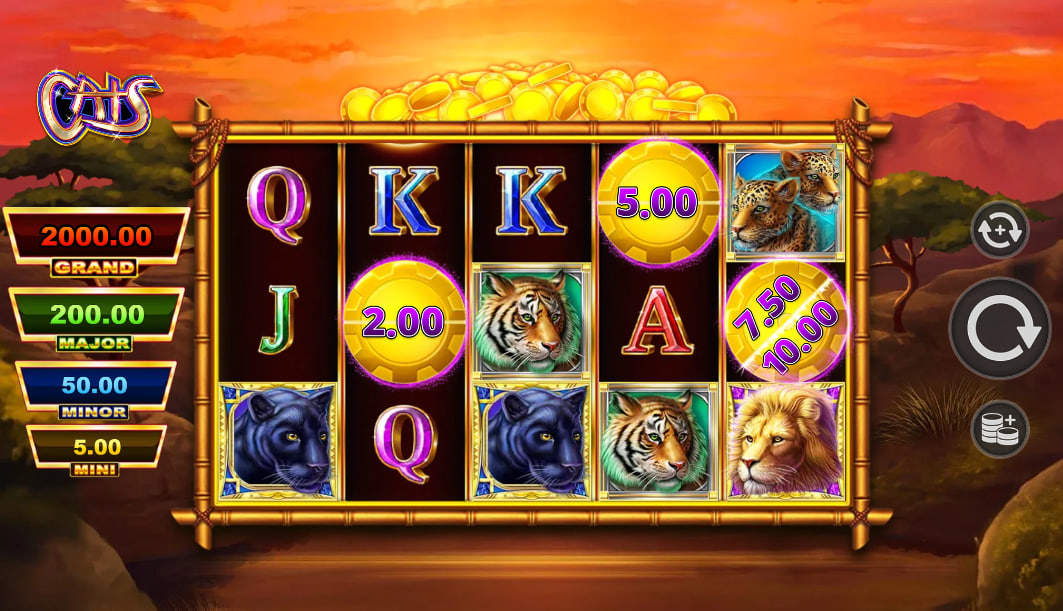 Cats Split 'N' Win (IGT) » Official Slot Demo & Review